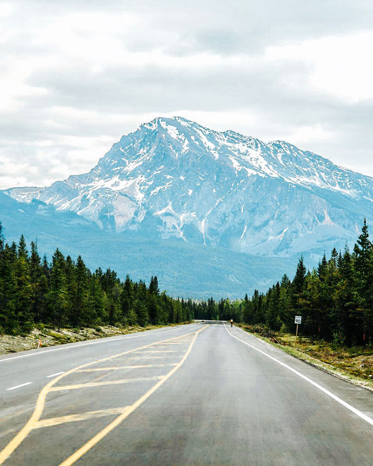 5 Road Trip Tips and Essentials To Help You Have Fun