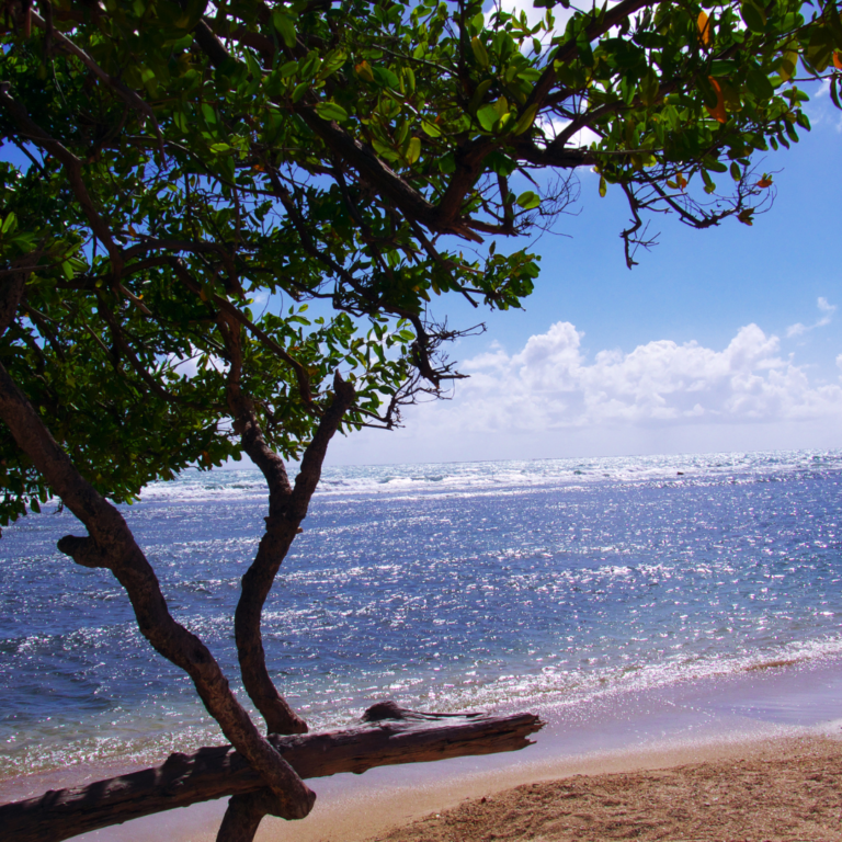 The Best Places to Live in Puerto Rico For Expats - She's Catching Flights